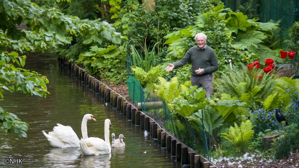 NHKワールド・プレミアム